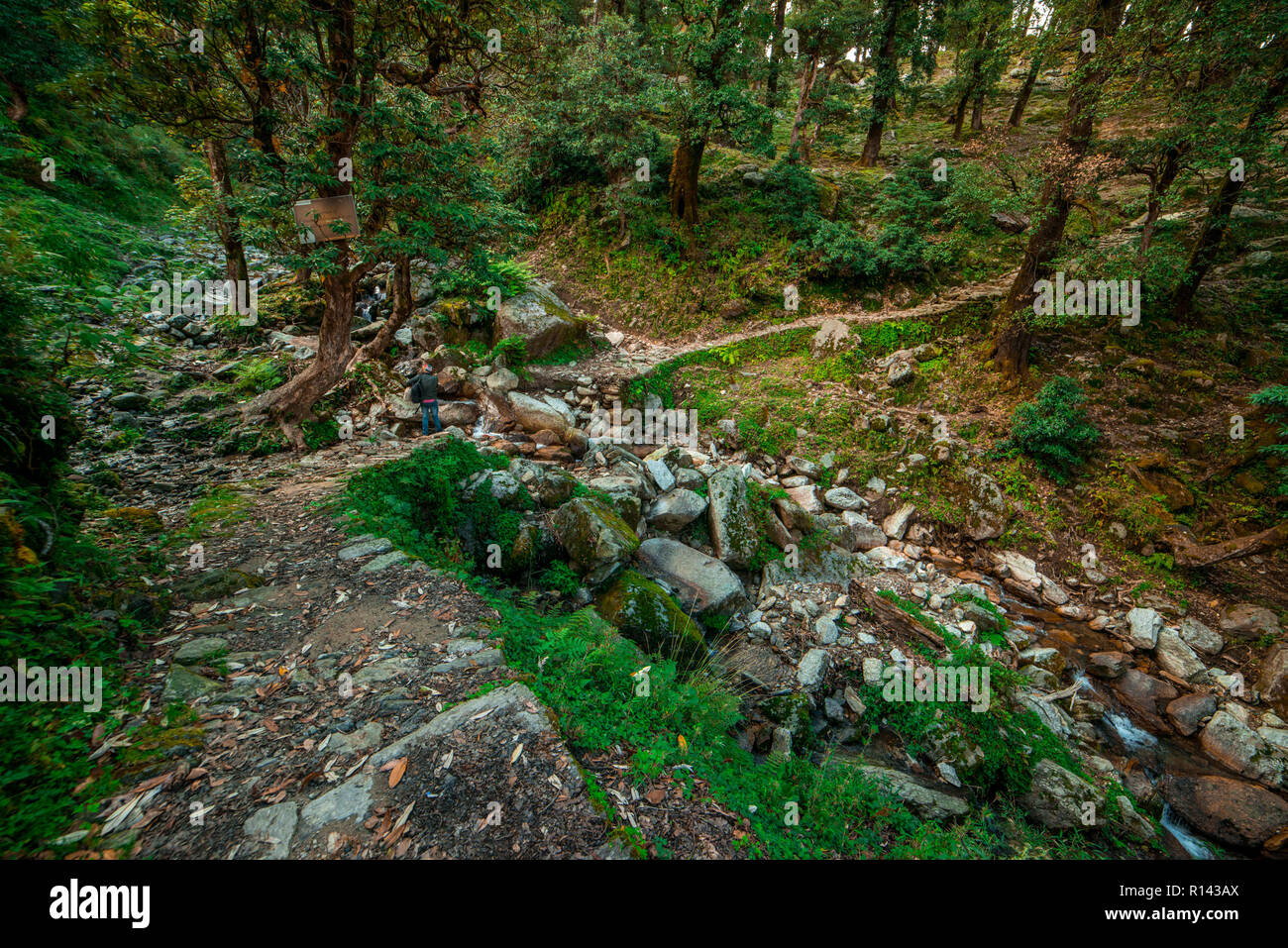 Khaliya Top Trek in Munsyari, Uttarakhand, India Stock Photo - Alamy