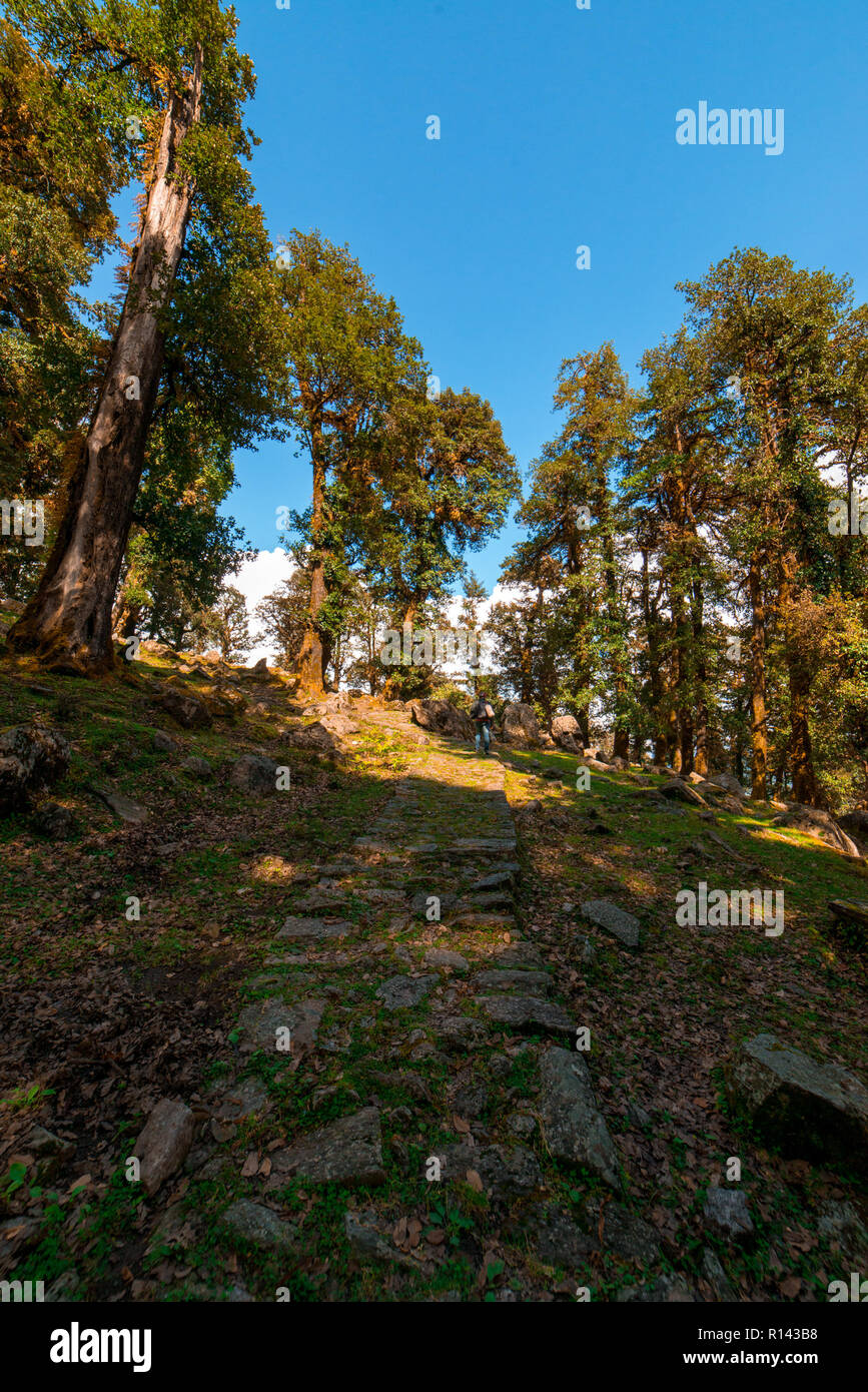 Khaliya Top Trek in Munsyari, Uttarakhand, India Stock Photo - Alamy
