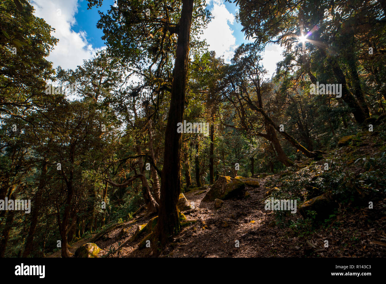 Khaliya Top Trek in Munsyari, Uttarakhand, India Stock Photo - Alamy