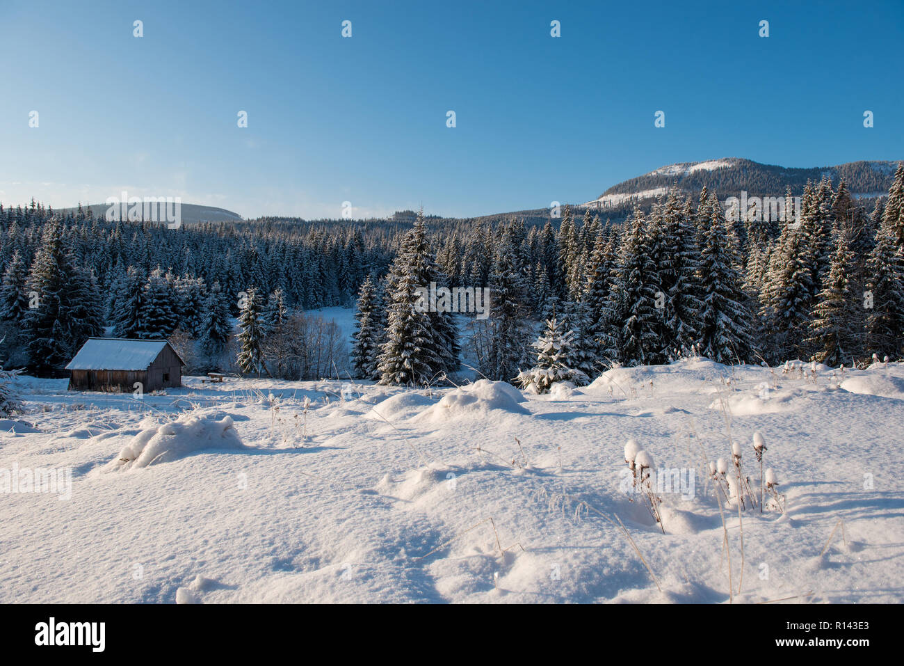 Idyllic winter wonderland mountain scenery with mountain chalet, lodge ...