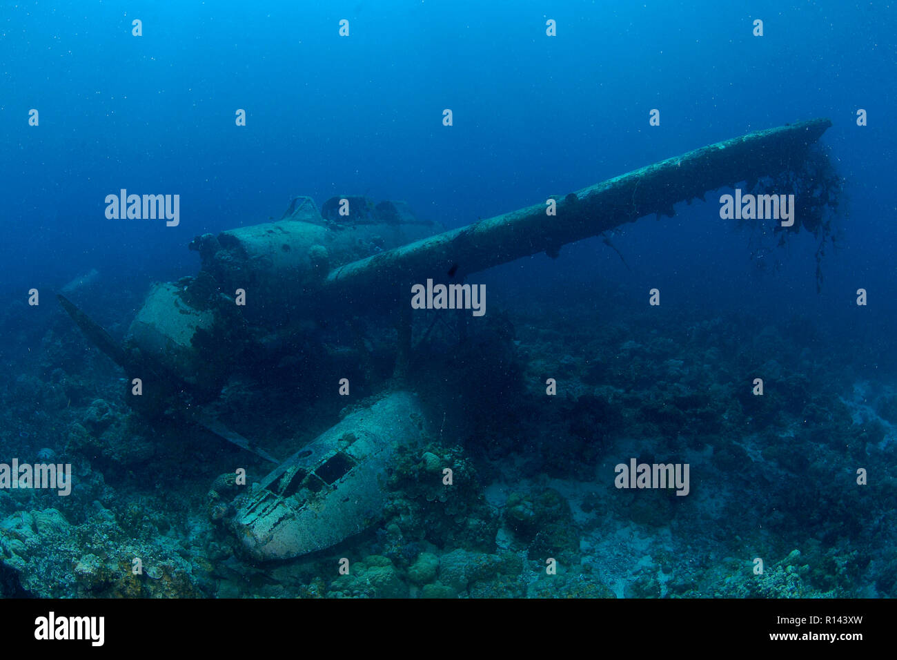World war ii japanese plane wreck hi-res stock photography and images ...