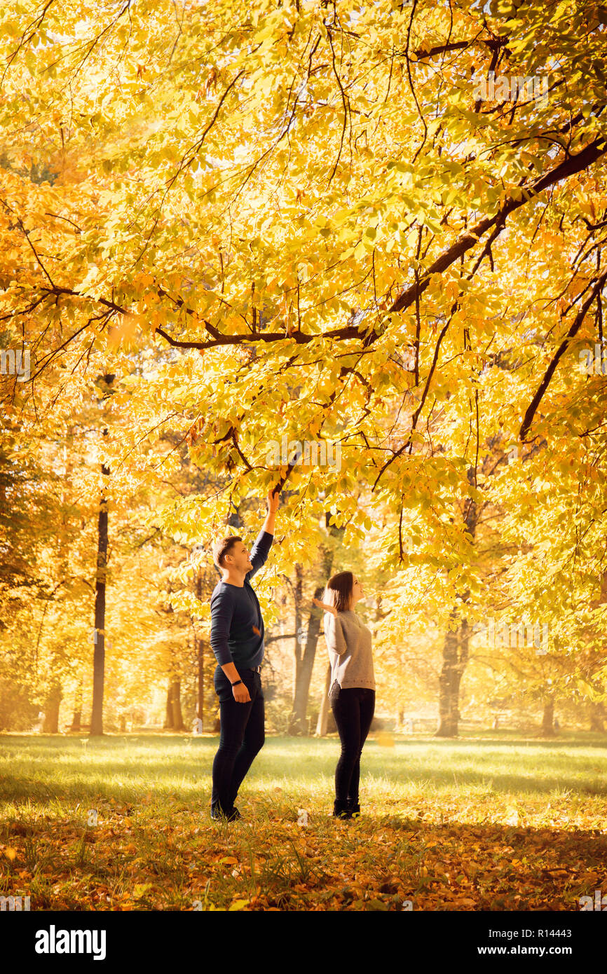 dance under the autumn fall Stock Photo - Alamy