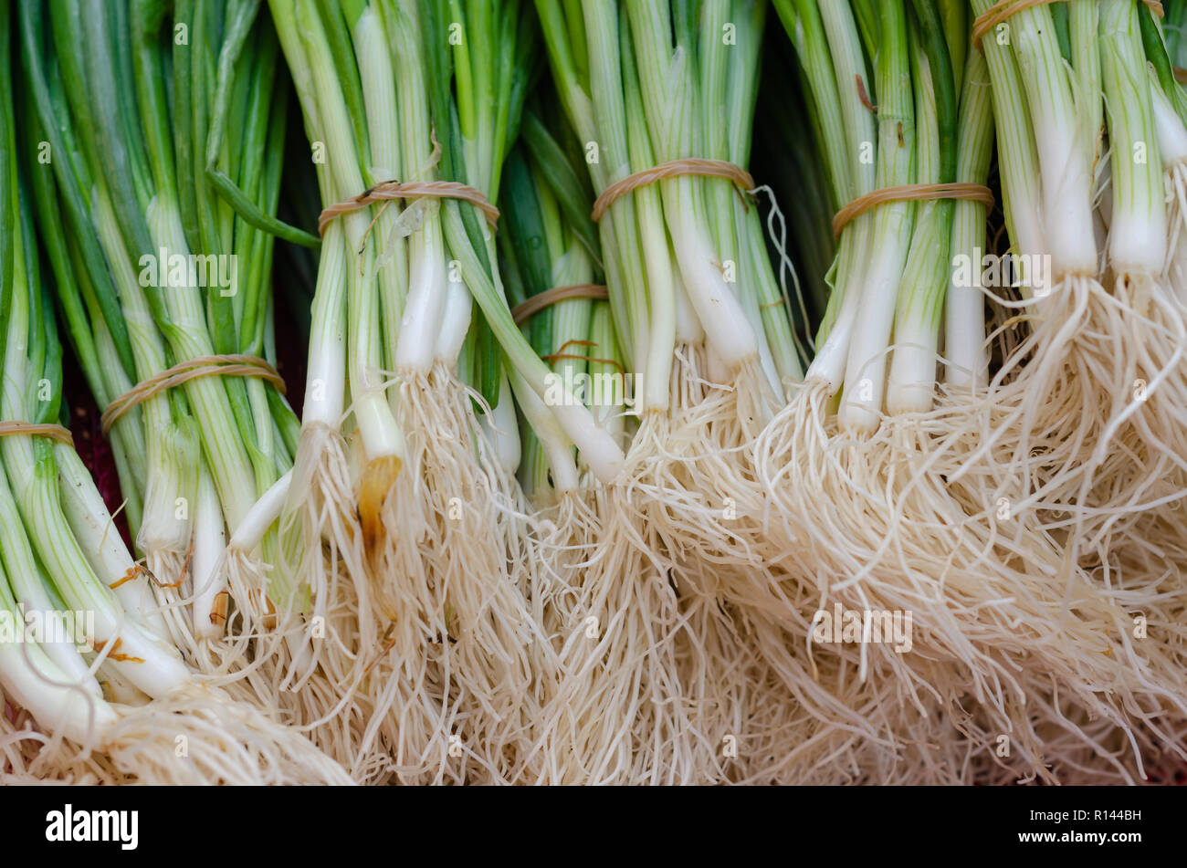 Green fresh onion. Scallions or Green Onions on the market. Food and ...