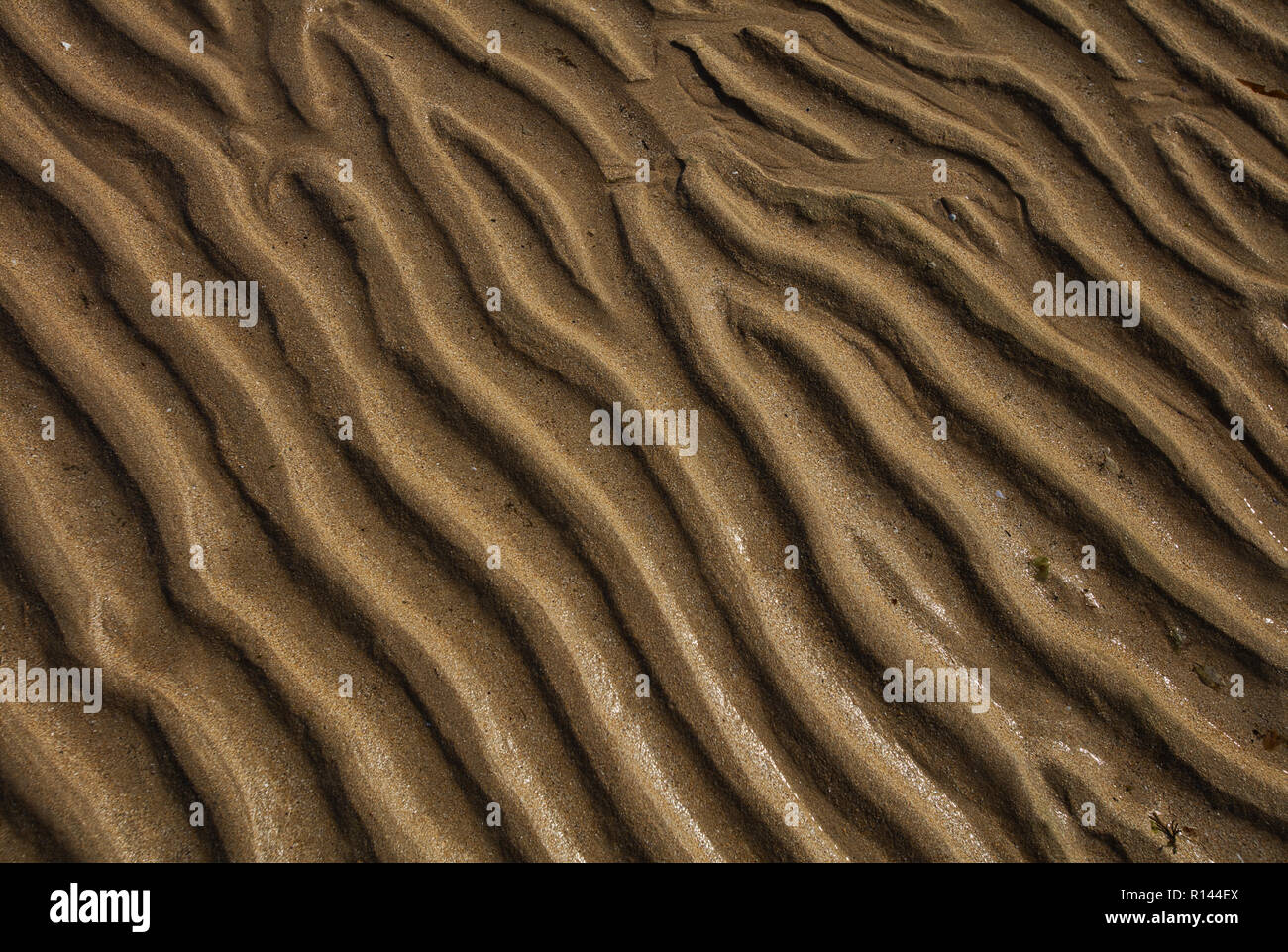 The sand textures of Praia de Carnota beach, Galicia, Spain Stock Photo ...
