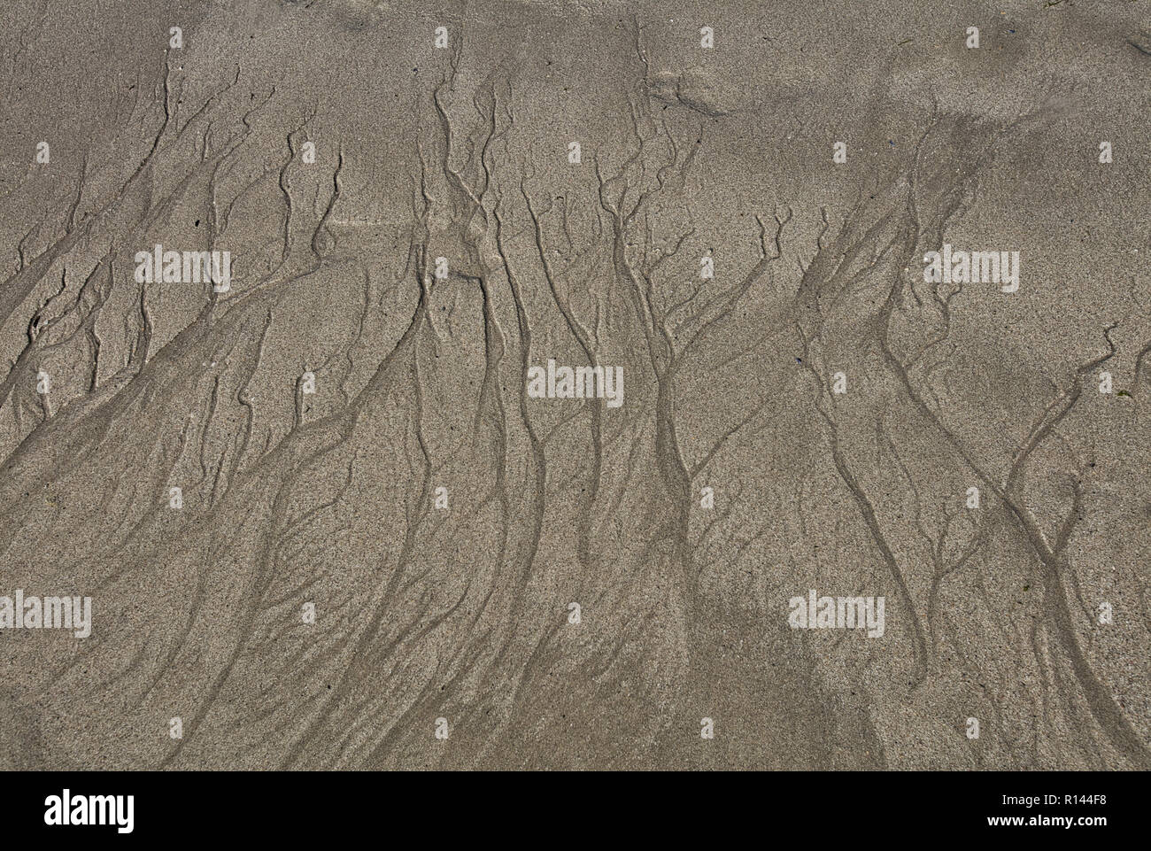 The sand textures of Praia de Carnota beach, Galicia, Spain Stock Photo ...