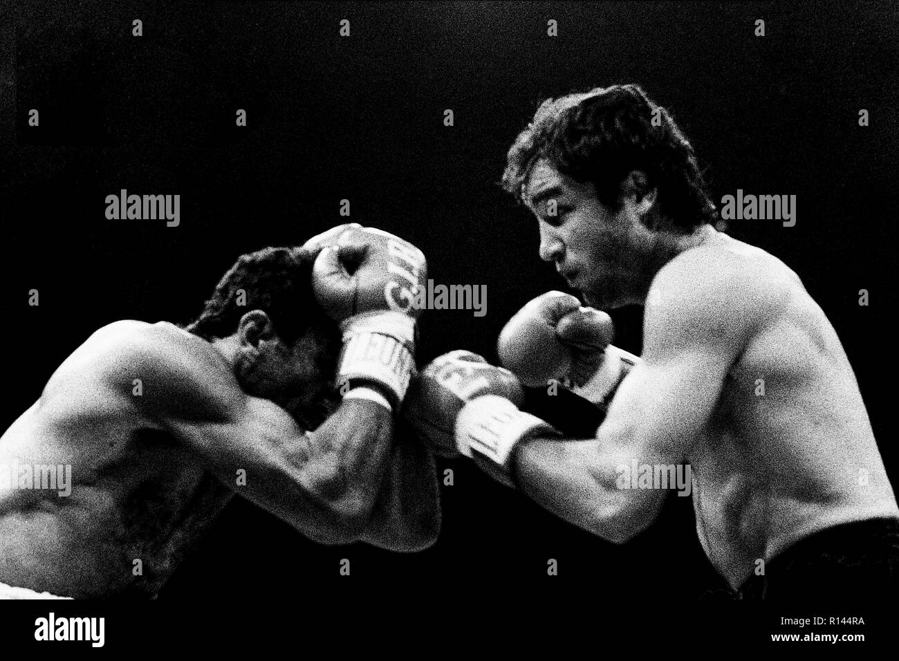 Champion De Boxe High Resolution Stock Photography and Images - Alamy