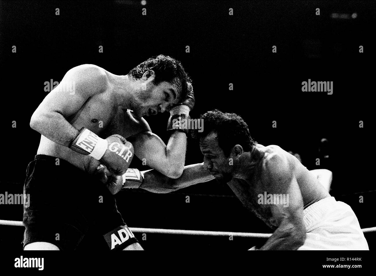 Champion De Boxe High Resolution Stock Photography and Images - Alamy