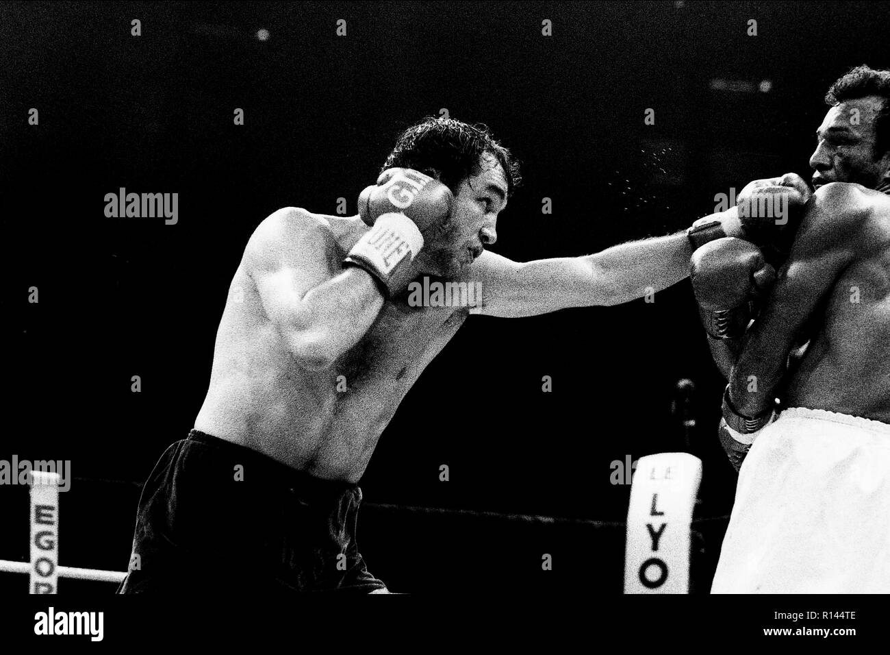 Champion De Boxe High Resolution Stock Photography and Images - Alamy