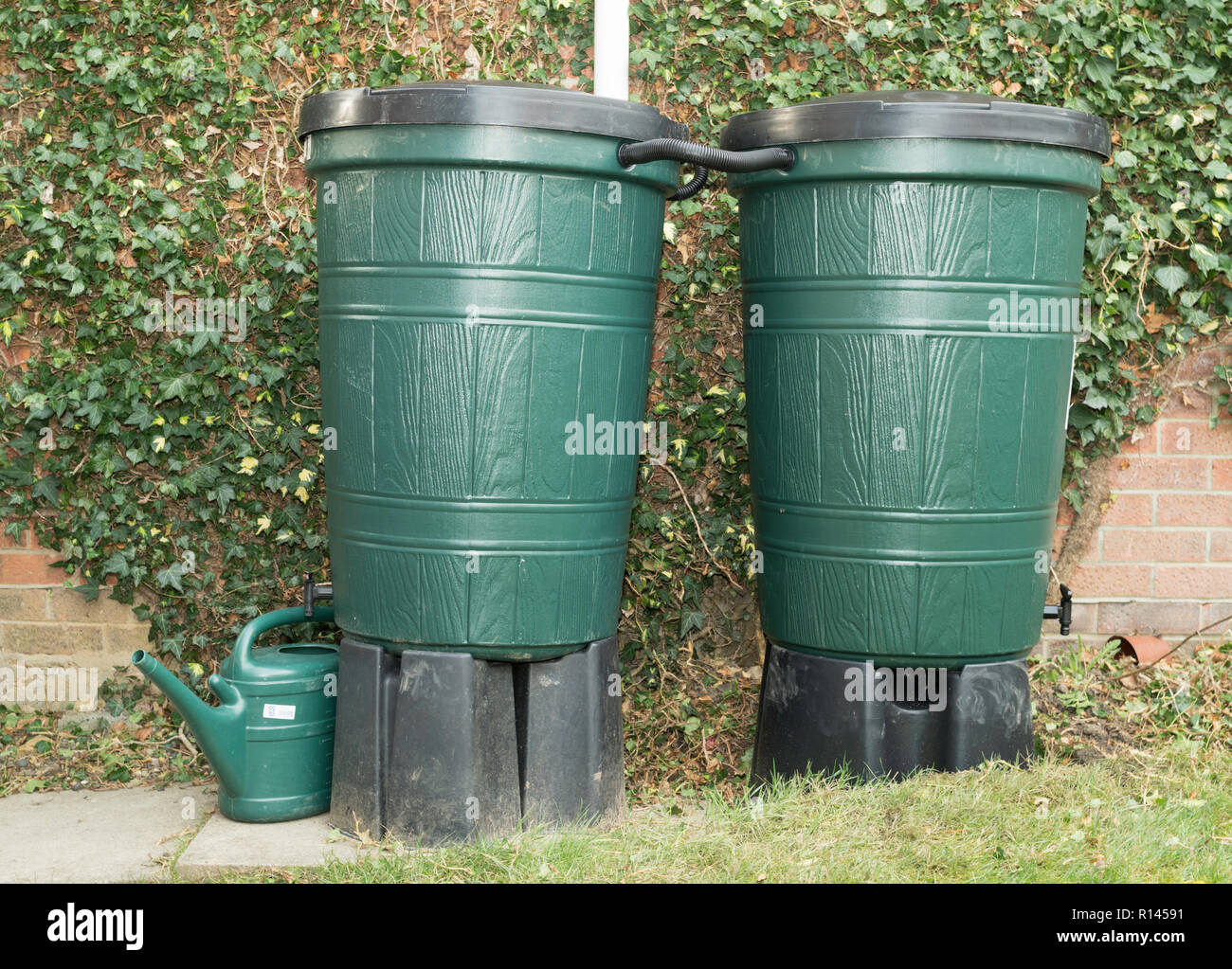 Two connected water butts in a domestic garden, England, UK Stock Photo ...
