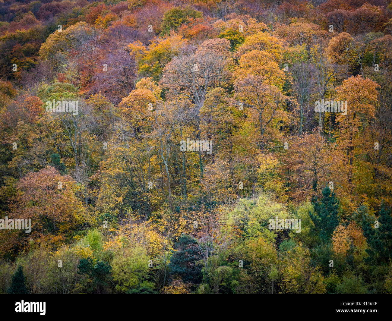 Steep valley side hi-res stock photography and images - Alamy