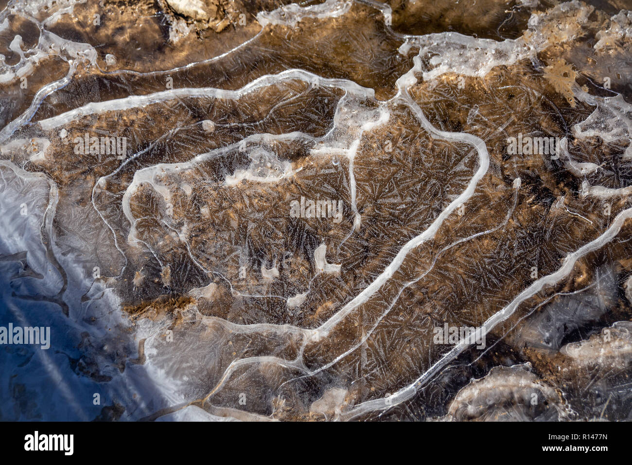 Frozen Mud High Resolution Stock Photography and Images - Alamy