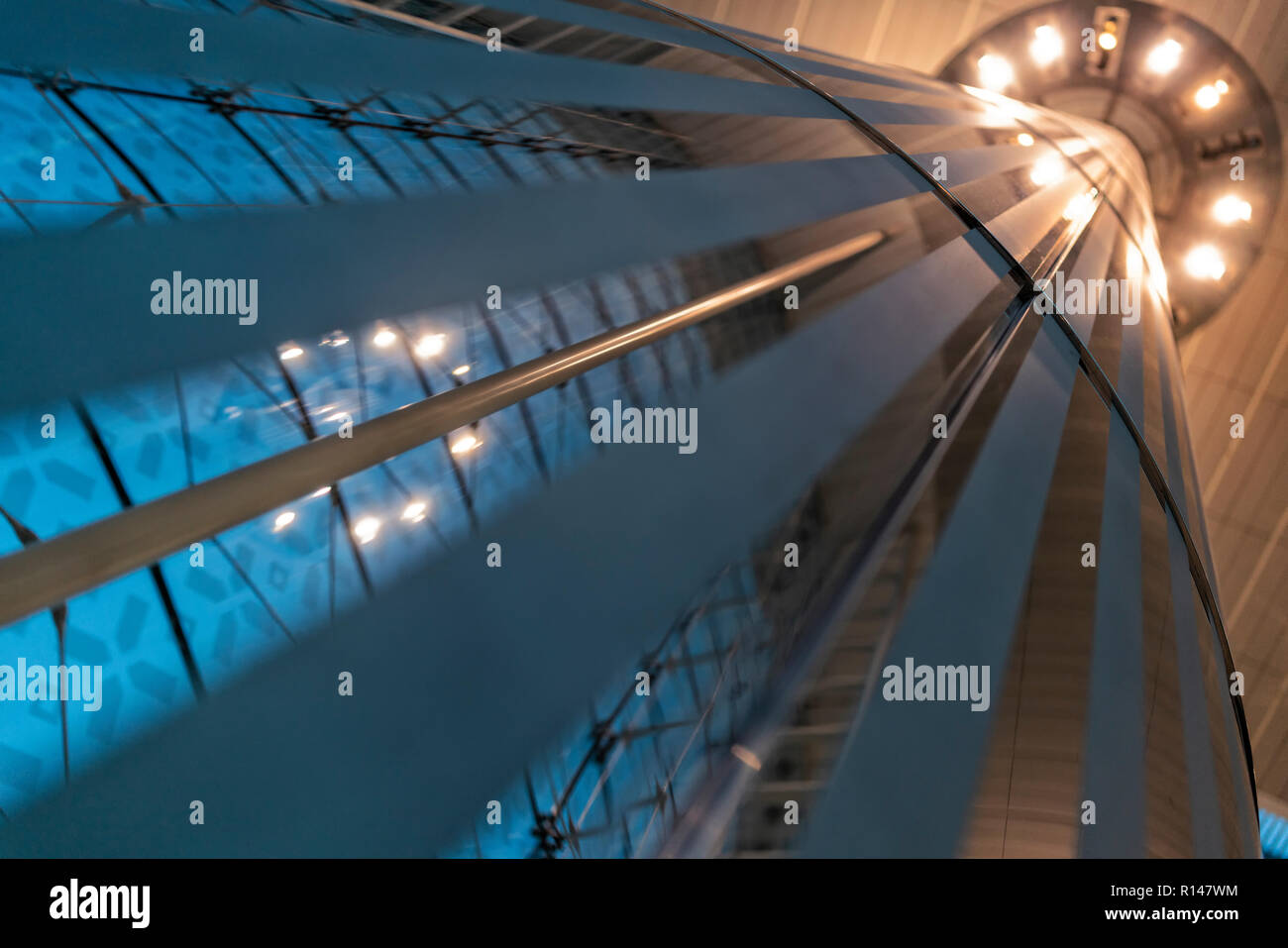 Internal structure of a leaf hi-res stock photography and images - Alamy