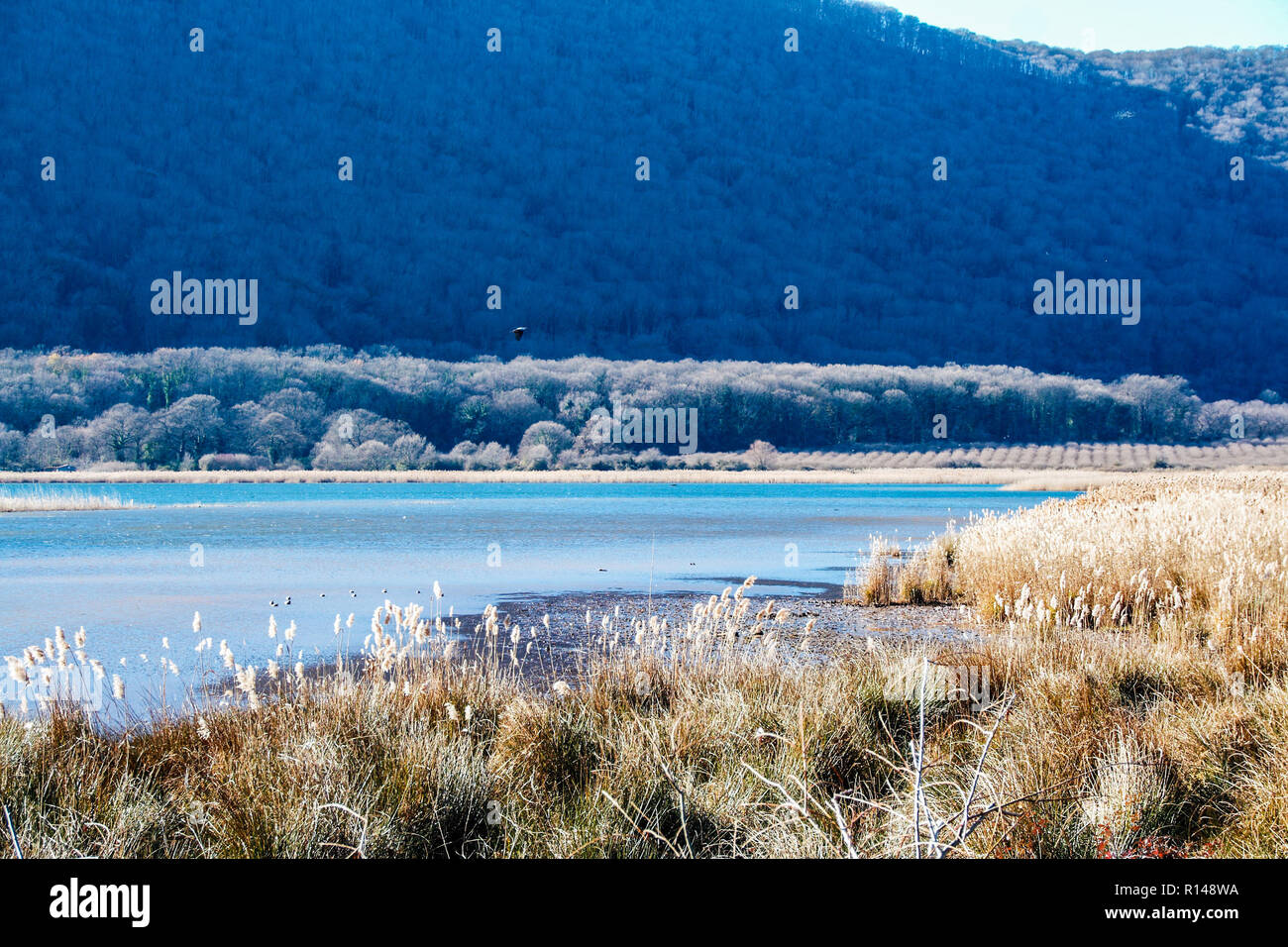 Mount venere hi-res stock photography and images - Alamy