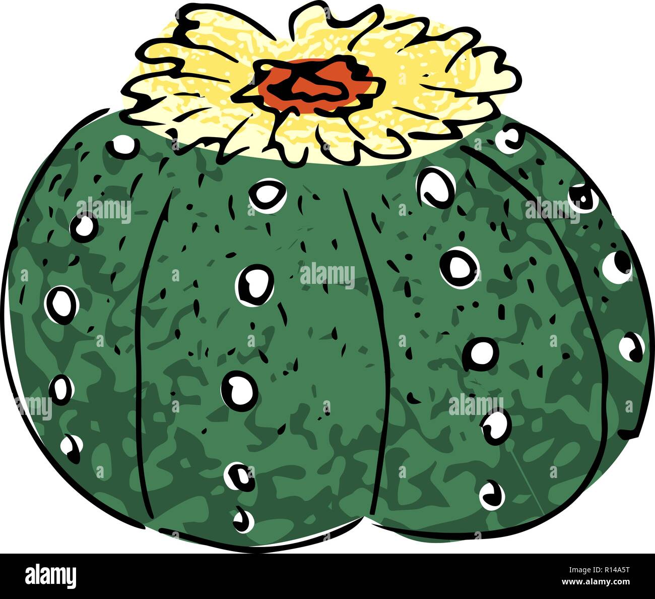 colored cactus, hand drawn vector illustration. outline sketch ...