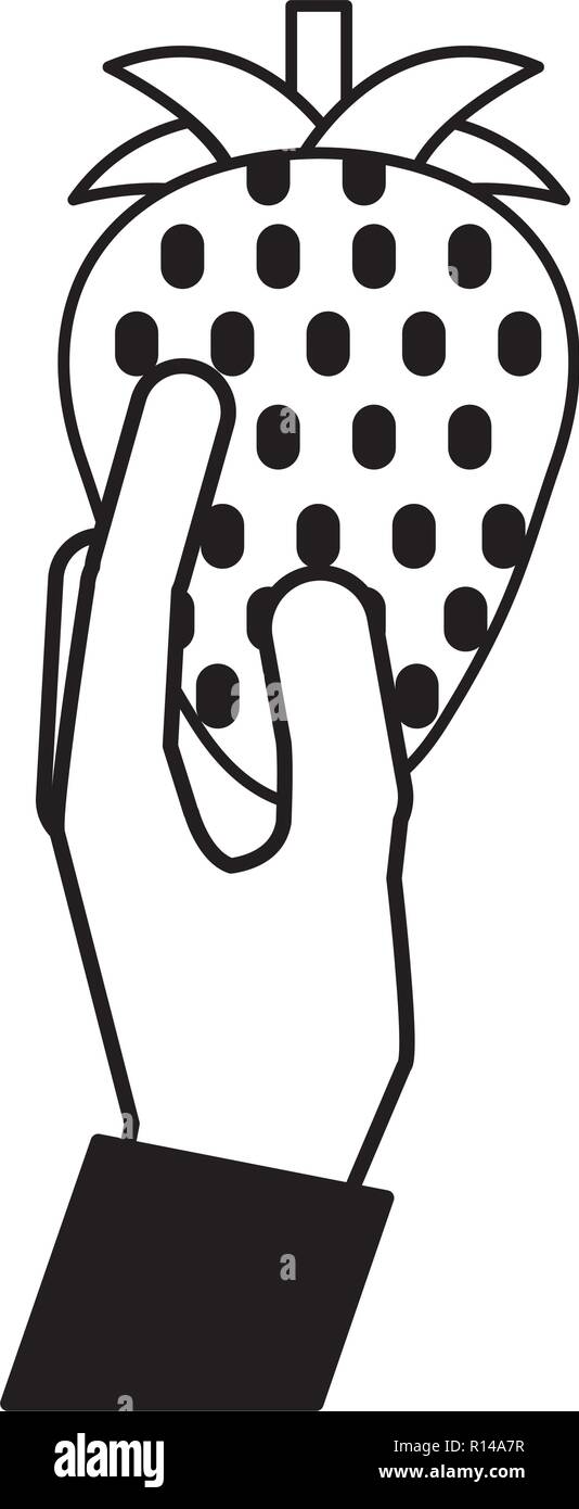 hand holding strawberry on white background vector illustration Stock ...