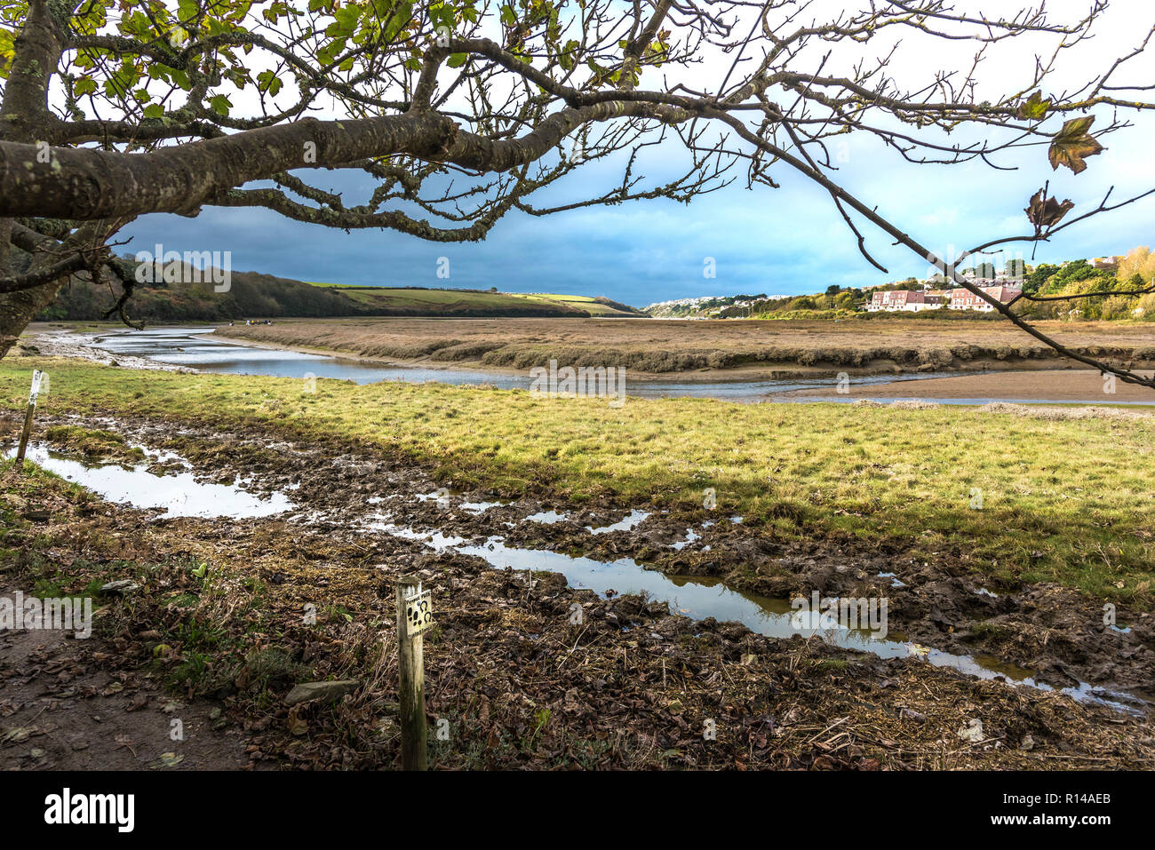 Bridle path hi-res stock photography and images - Alamy