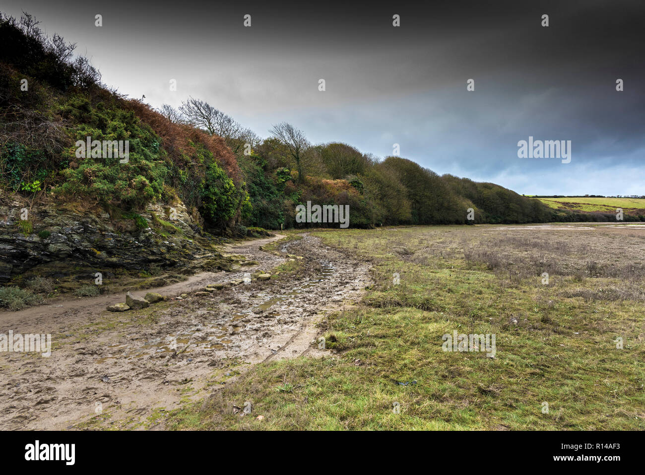 A muddy bridle path footpath on the Gannel Estuary at low tide in ...