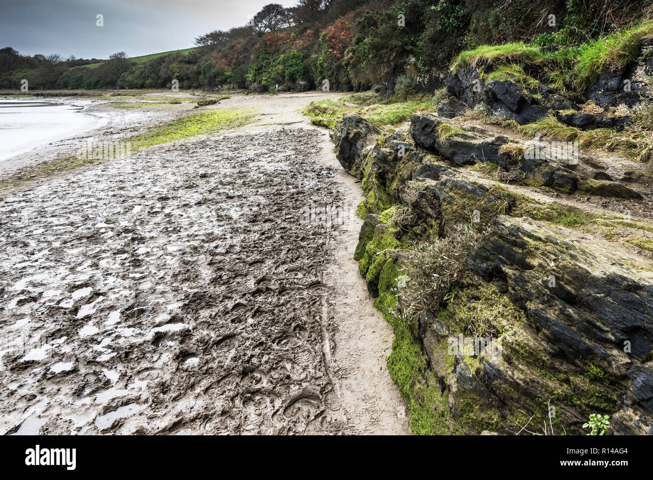 The muddy Penpol footpath bridleway bridle path on the Gannel River in ...