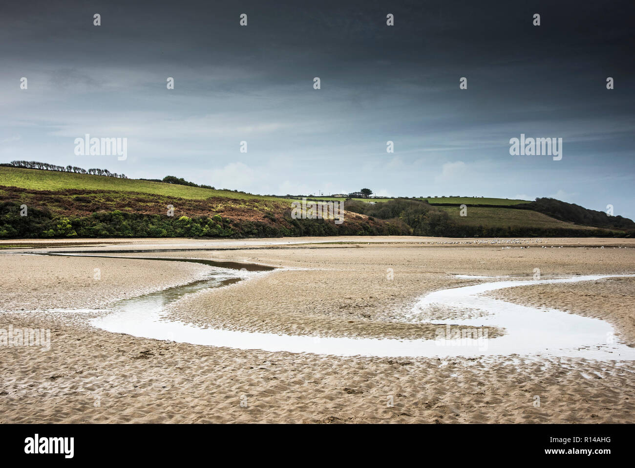 Low tide in the Gannel Estuary in Newquay in Cornwall Stock Photo - Alamy