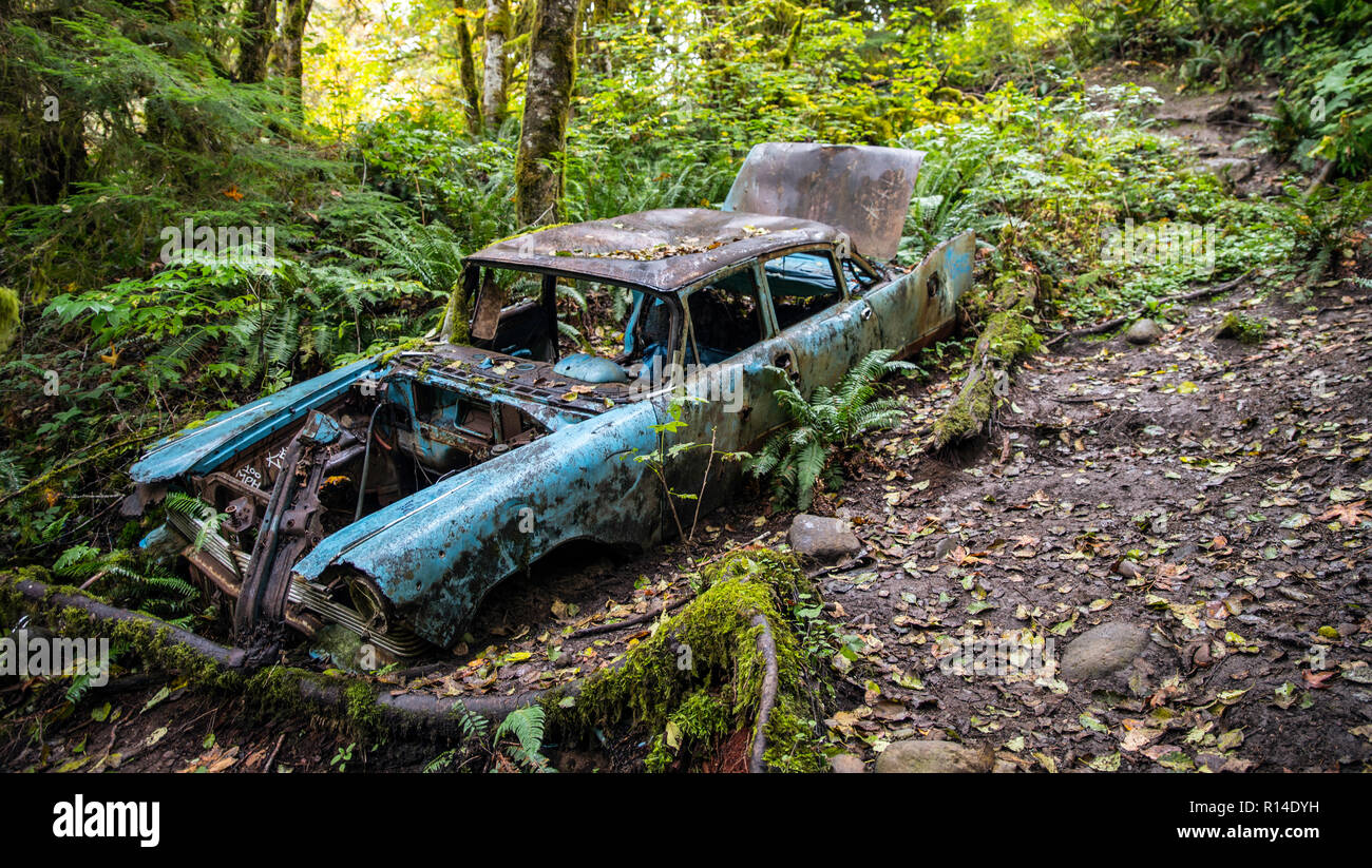 Rusty forgotten old car in the forest Stock Photo - Alamy