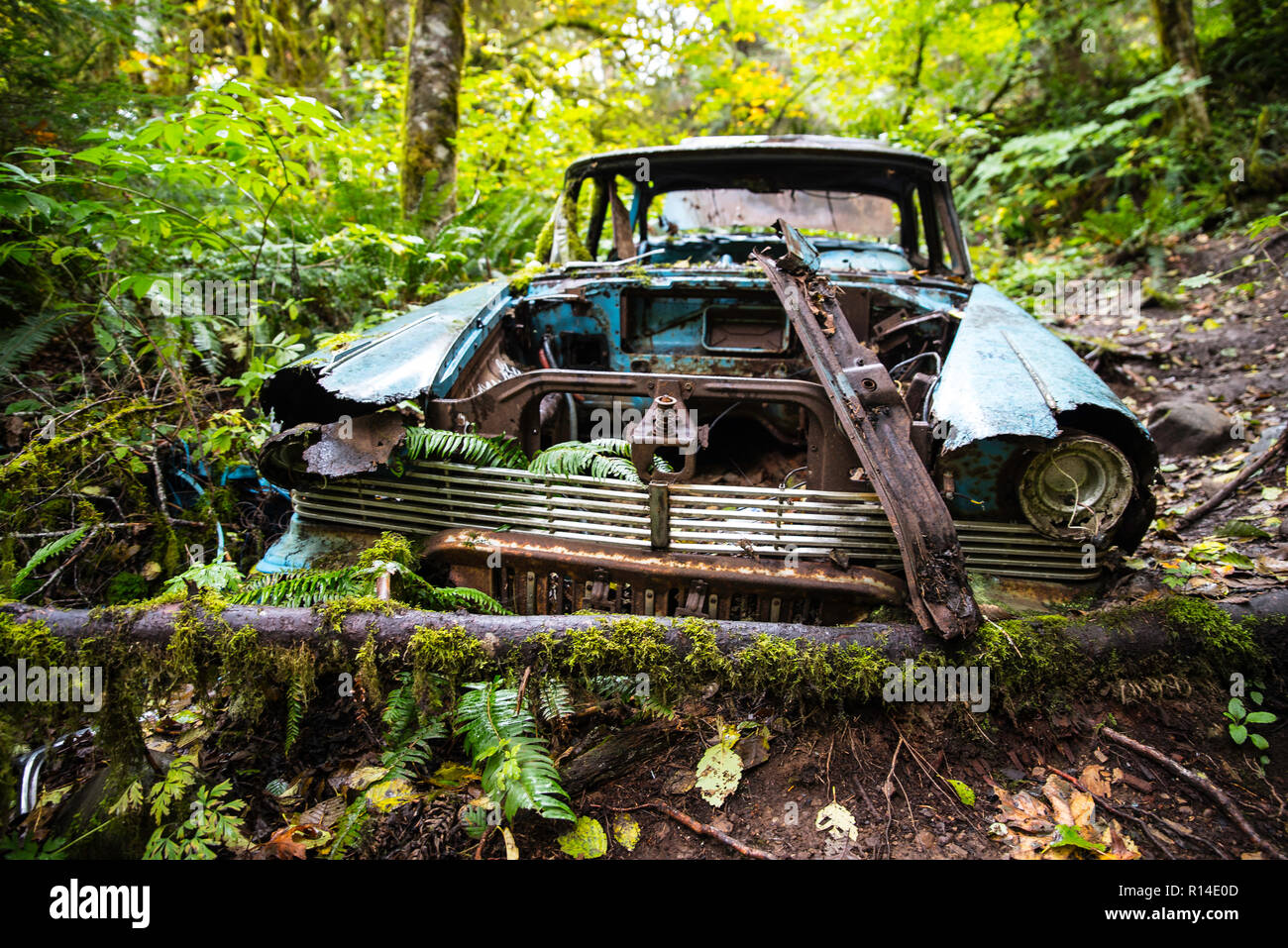 Old abandoned rusted old wreck car in the forest Stock Photo - Alamy