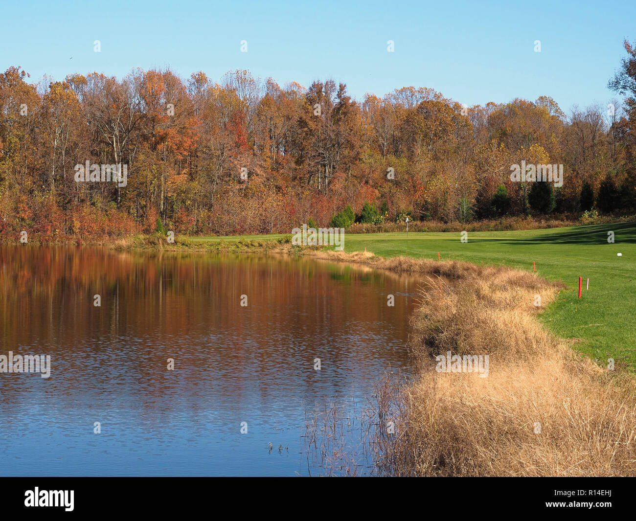 Golf hole along water during the fall Stock Photo - Alamy