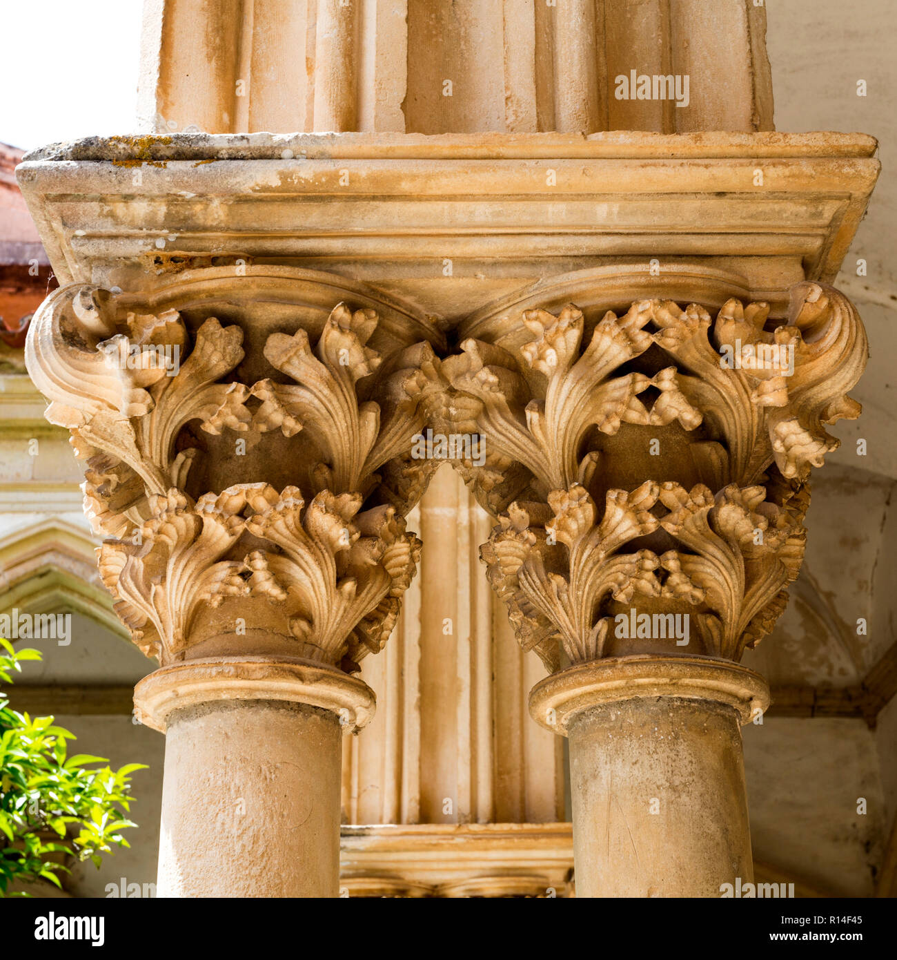 Detail of the Romanesque capitals depicting vegetal motifs on top of ...