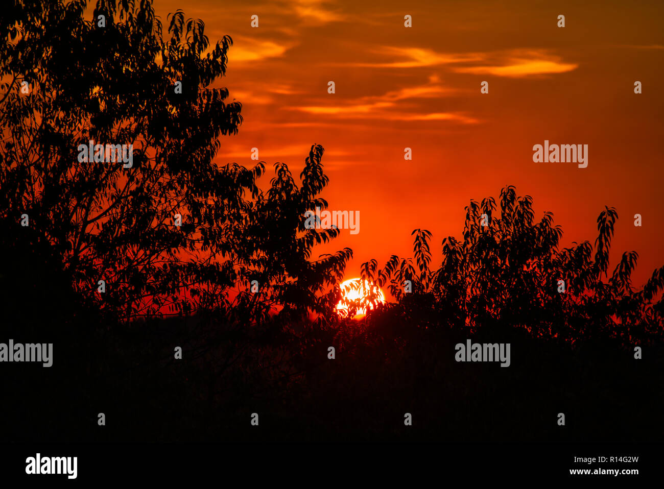 Beautiful sunset sun sunshine hi-res stock photography and images - Alamy