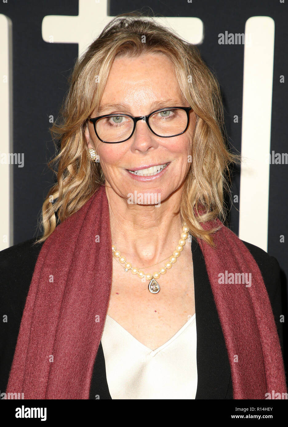 Amazon Studios Los Angeles Premiere Of "Beautiful Boy" Featuring: Vicki ...