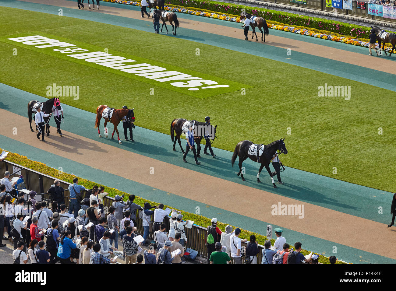 Huge screen at the parade ring hi-res stock photography and images - Alamy