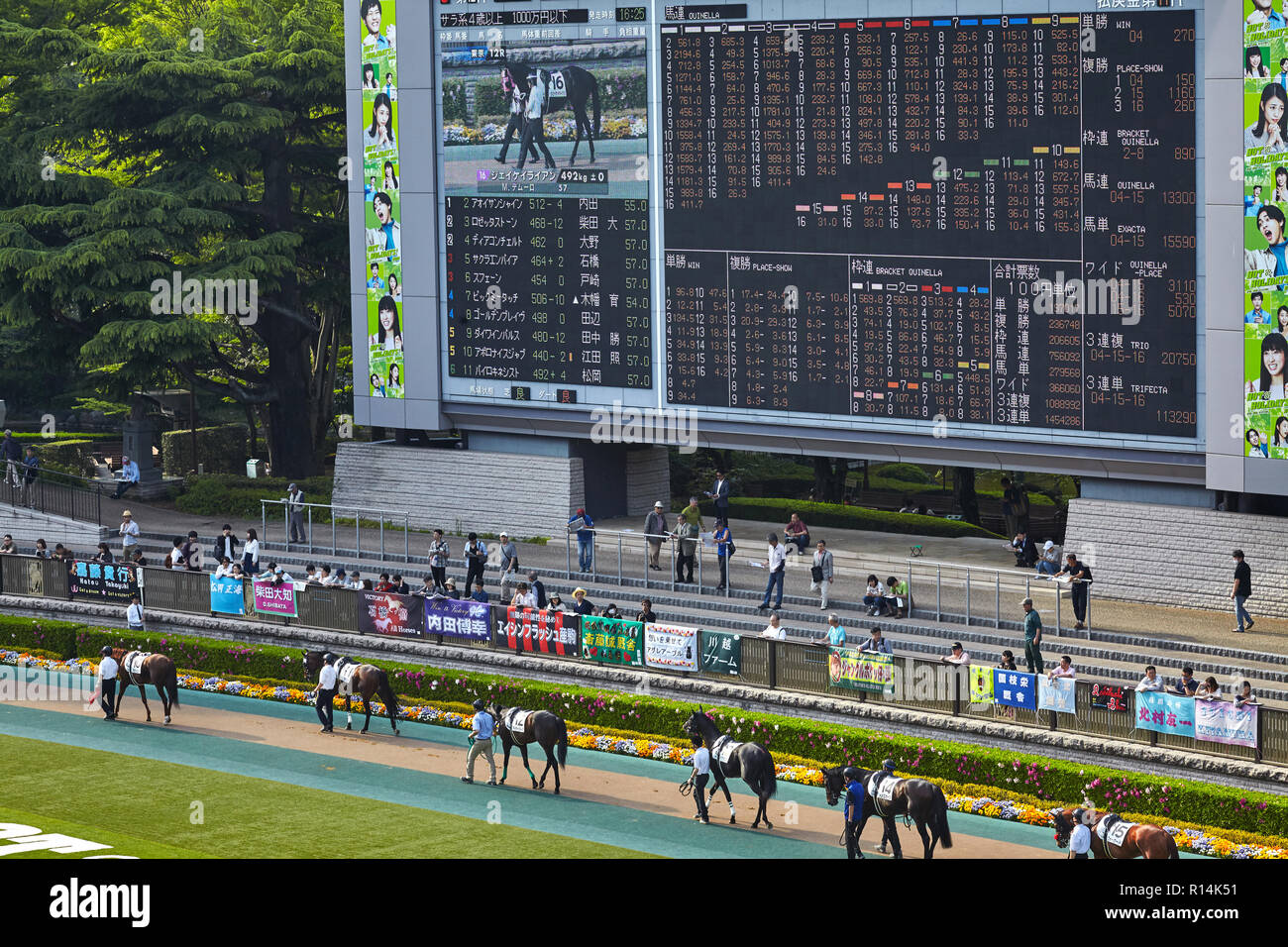 Tokyo racecources hi-res stock photography and images - Alamy