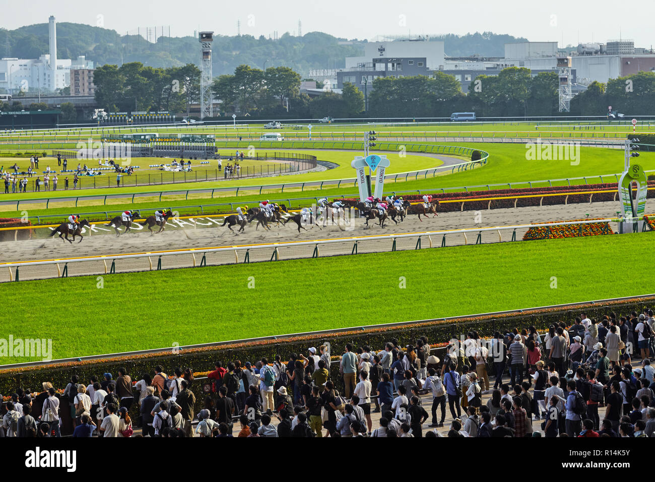 Japan, Tokyo. 22of April. General view of the Parade Ring at Tokyo ...