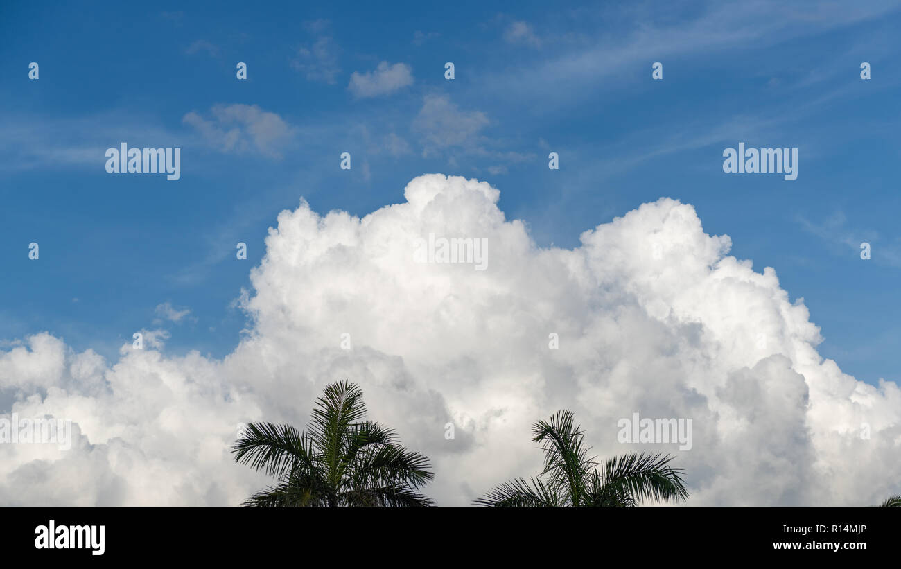 storm clouds forming in south Florida area Stock Photo - Alamy