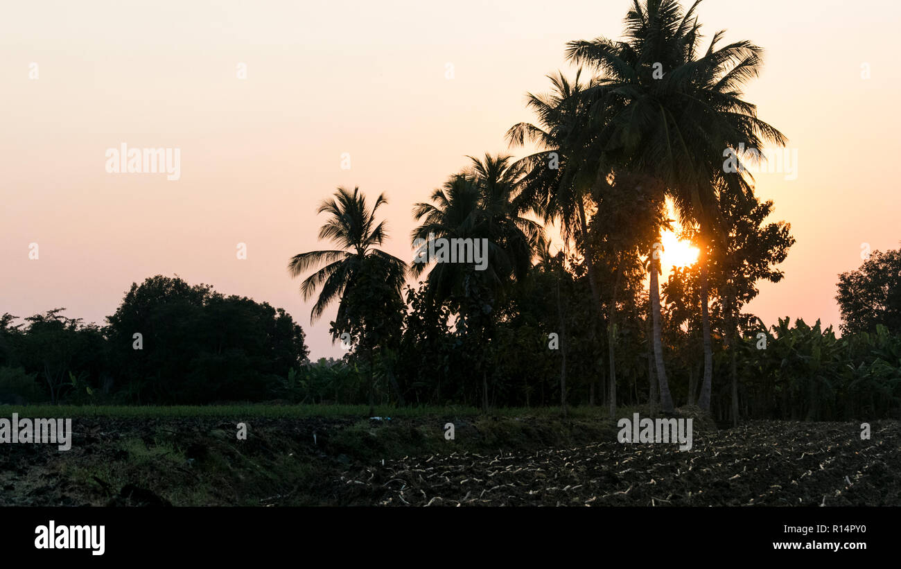Indian agriculture hi-res stock photography and images - Alamy