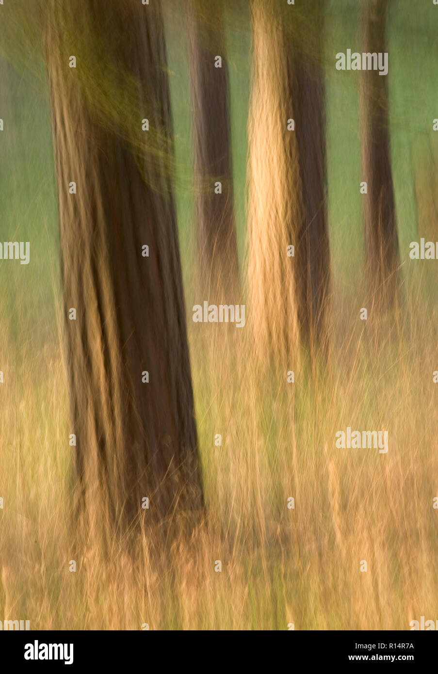 Vertical panning hi-res stock photography and images - Alamy