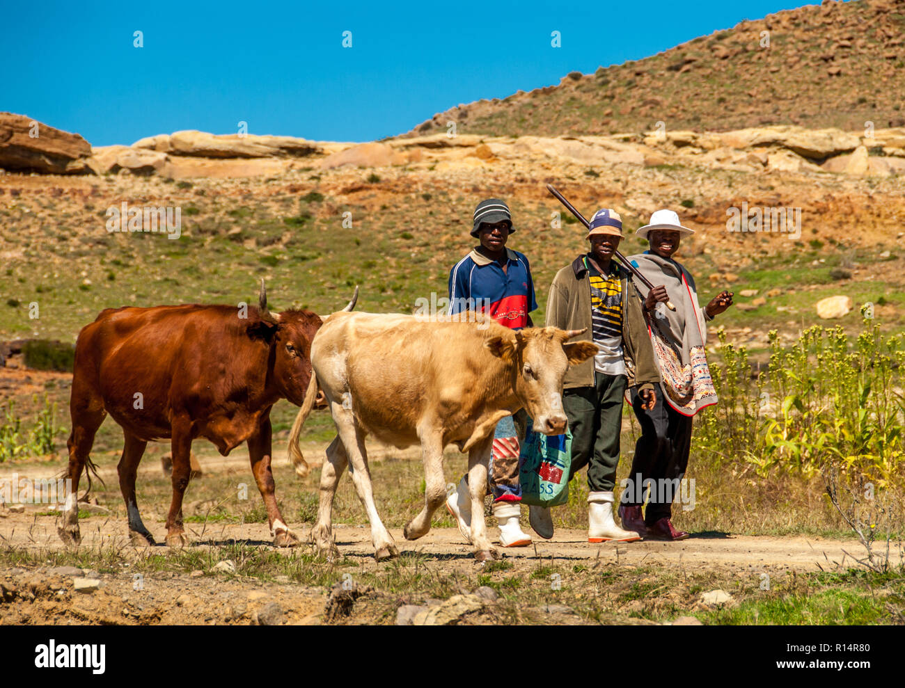 Mountain Kingdom of Swaziland, Africa Stock Photo - Alamy