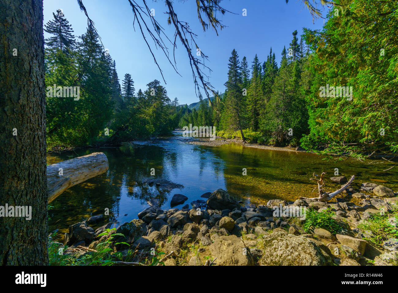 View of the Sainte-Anne-du-Nord River, in Gaspesie National Park, Gaspe ...