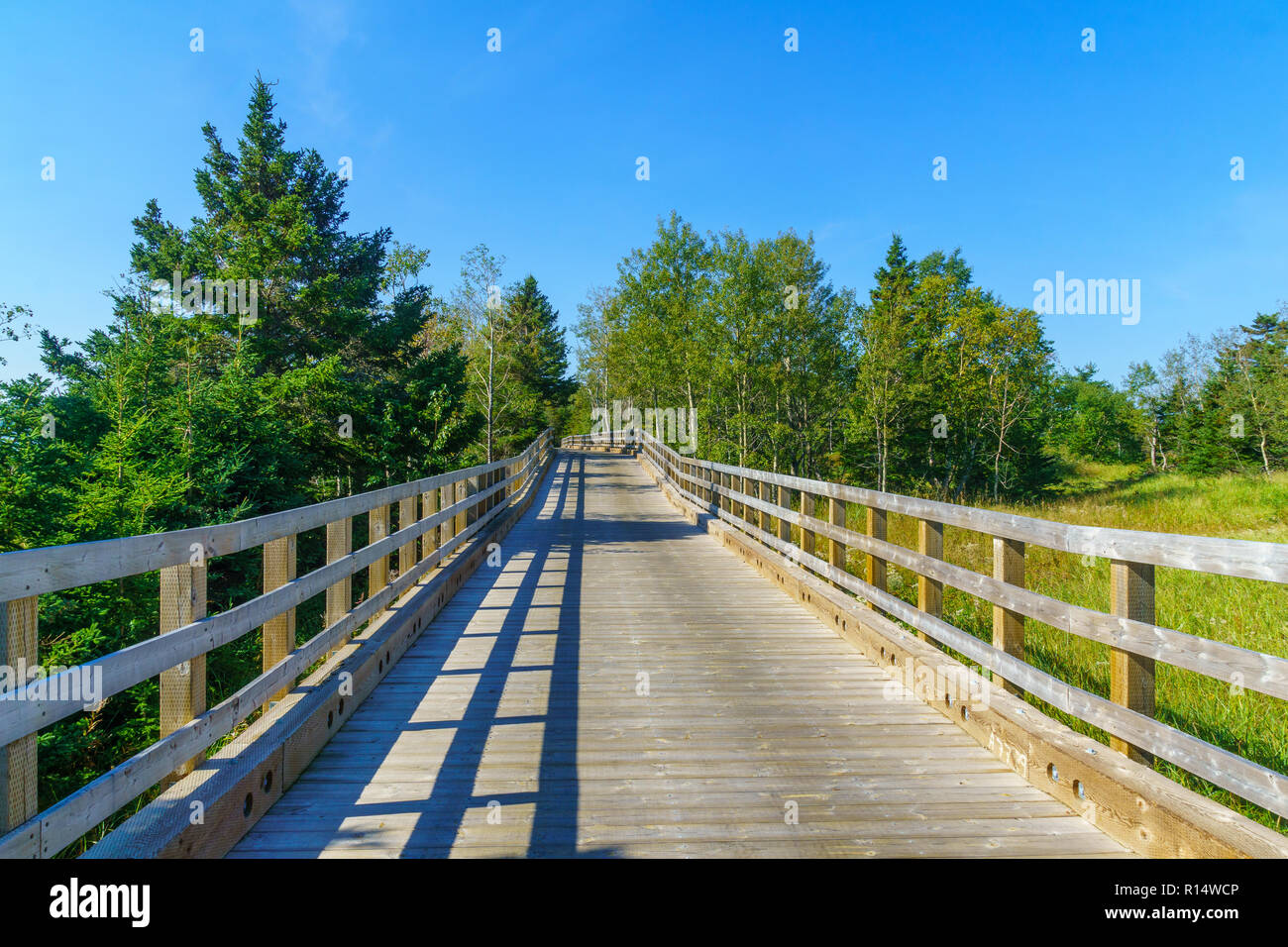 Elevated footpath in the Penouille sector of Forillon National Park ...