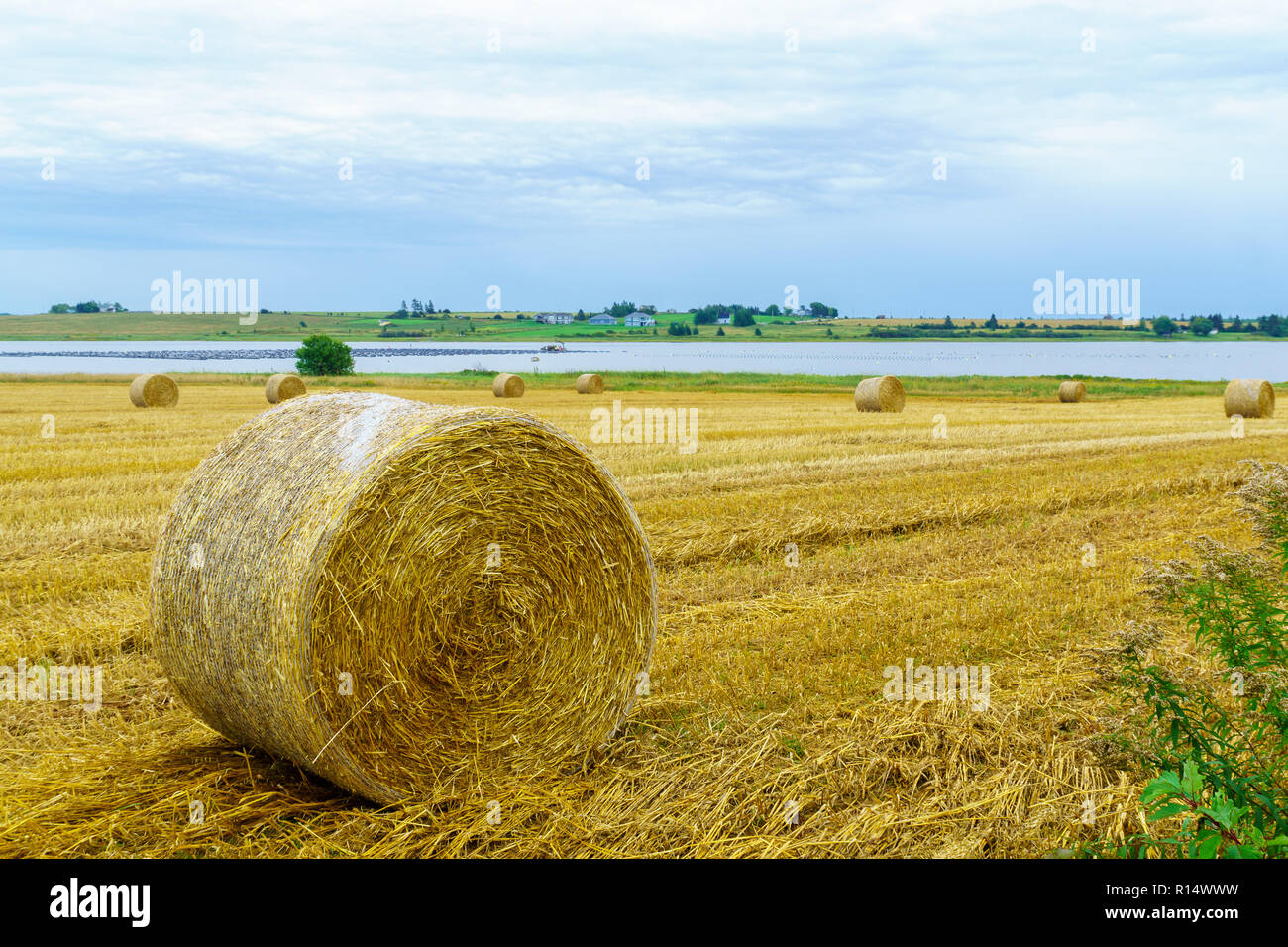 View of countryside and haystacks near Grand River, Prince Edward ...