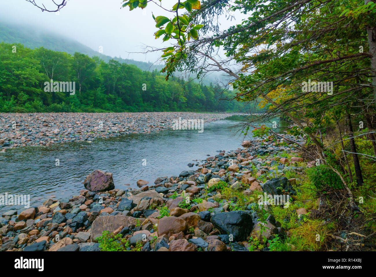 View of the Cheticamp river, in Cape Breton Highlands National Park ...