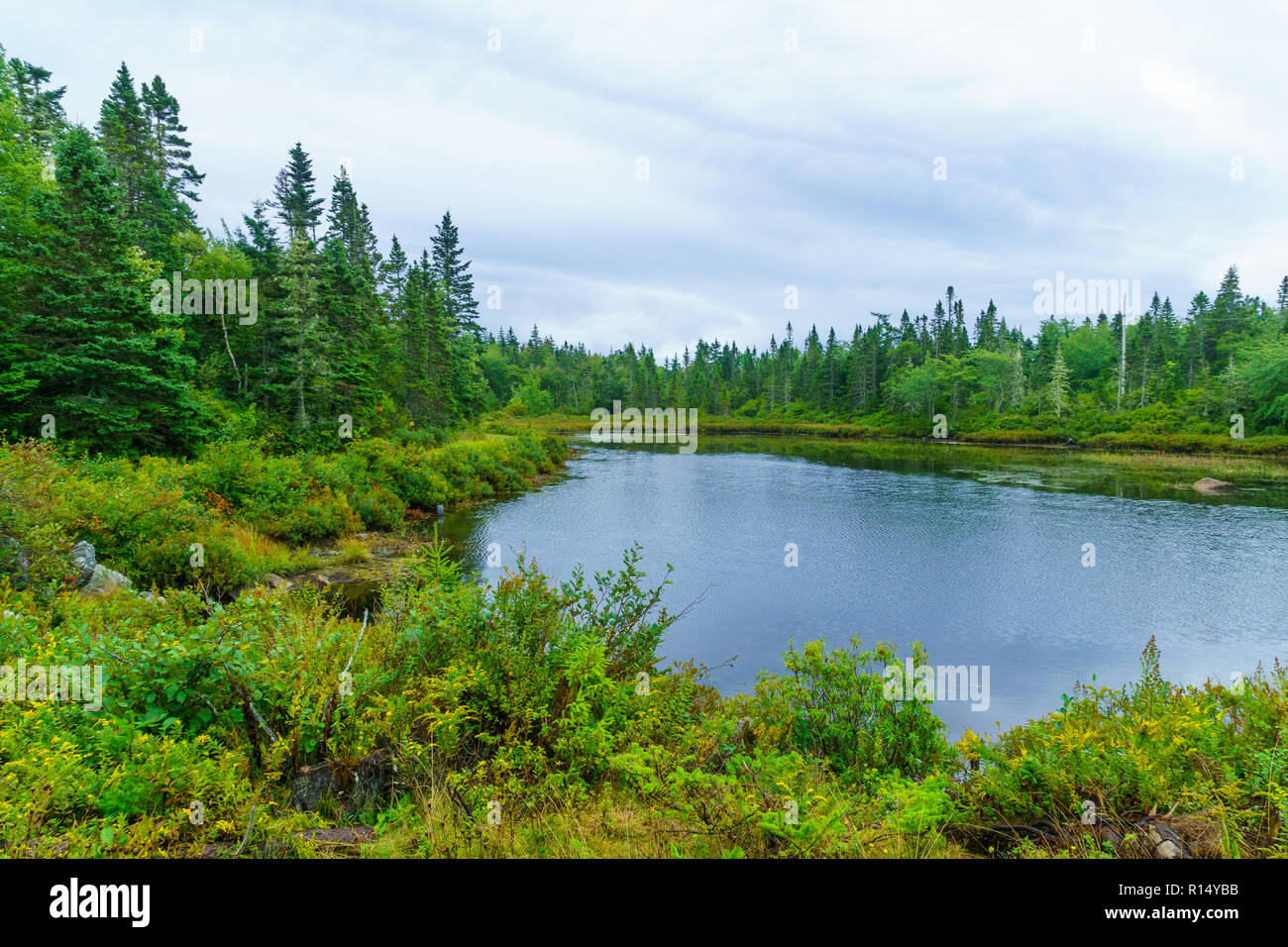 Awalt hi-res stock photography and images - Alamy