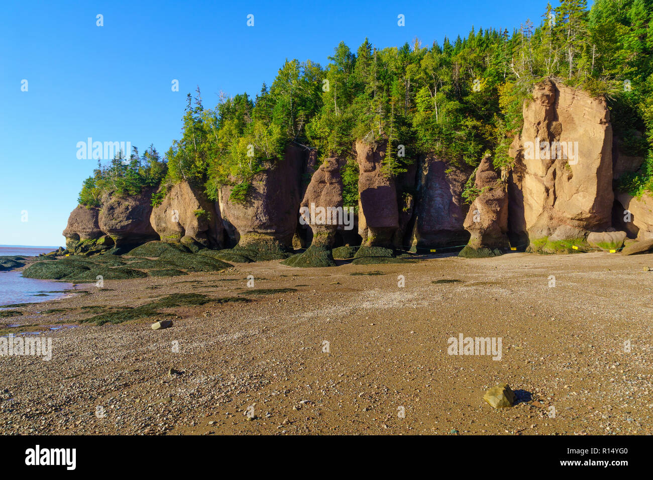 New brunswick tide hi-res stock photography and images - Alamy