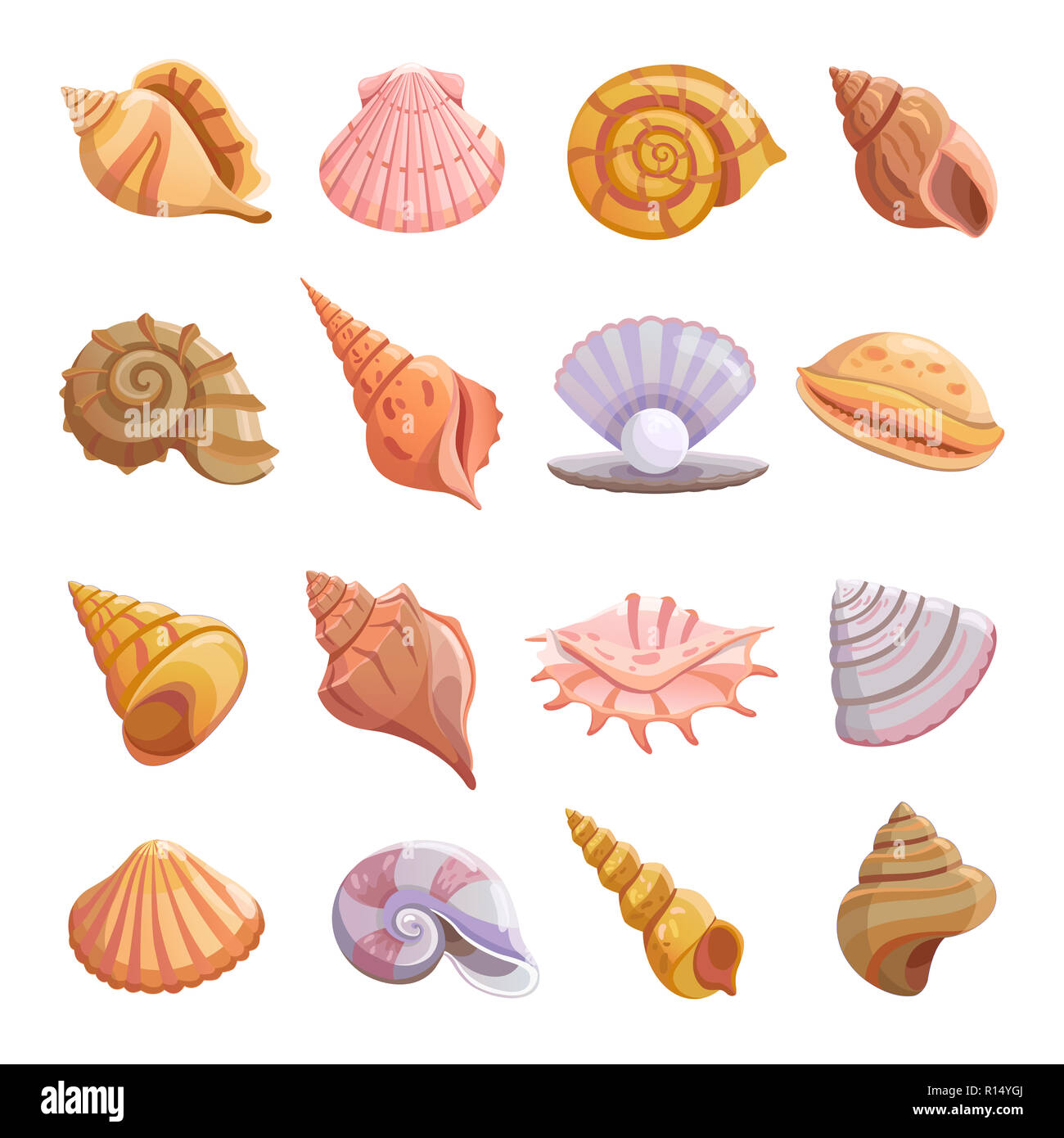 Sea shell beach icons set. Cartoon illustration of 16 Sea shell beach ...