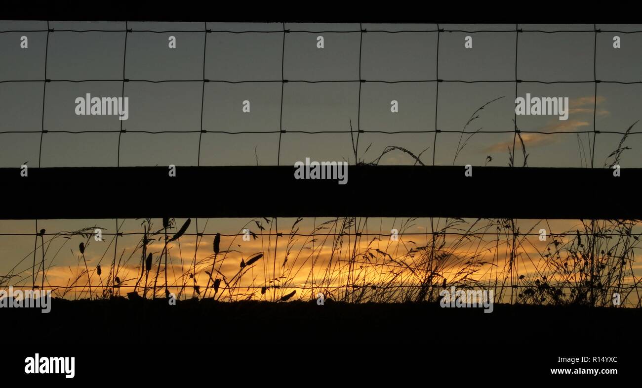 Sunset through a farmland fence Stock Photo - Alamy
