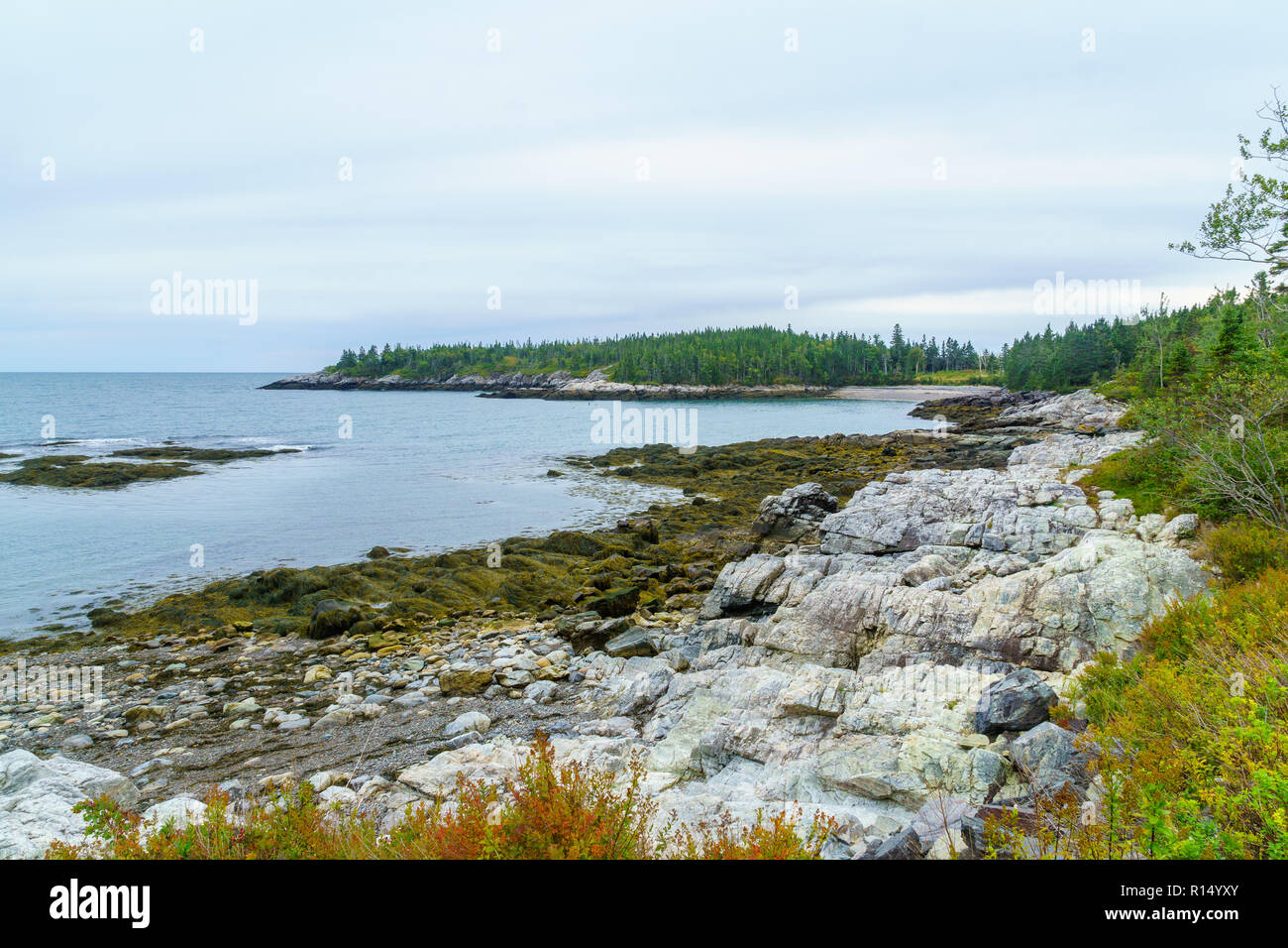 New brunswick beach hi-res stock photography and images - Alamy