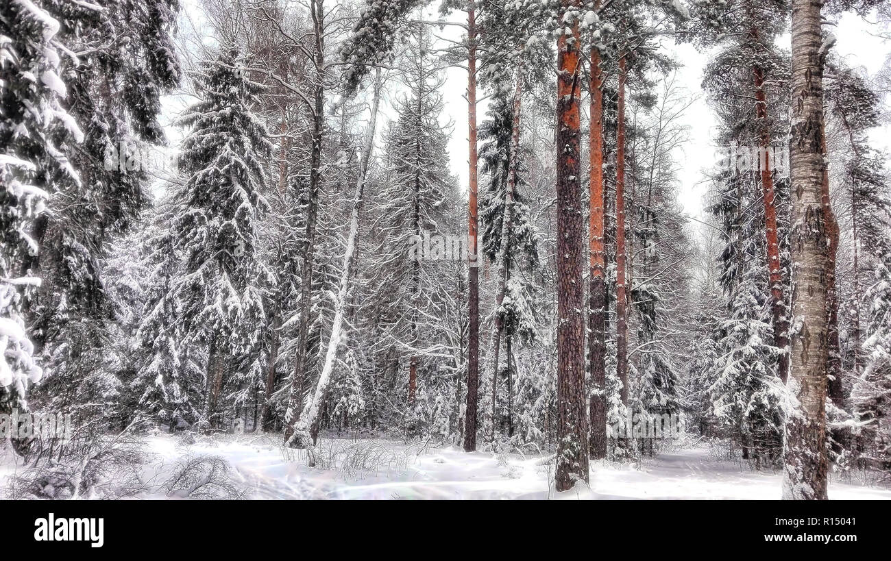 Cold climate attire hi-res stock photography and images - Alamy