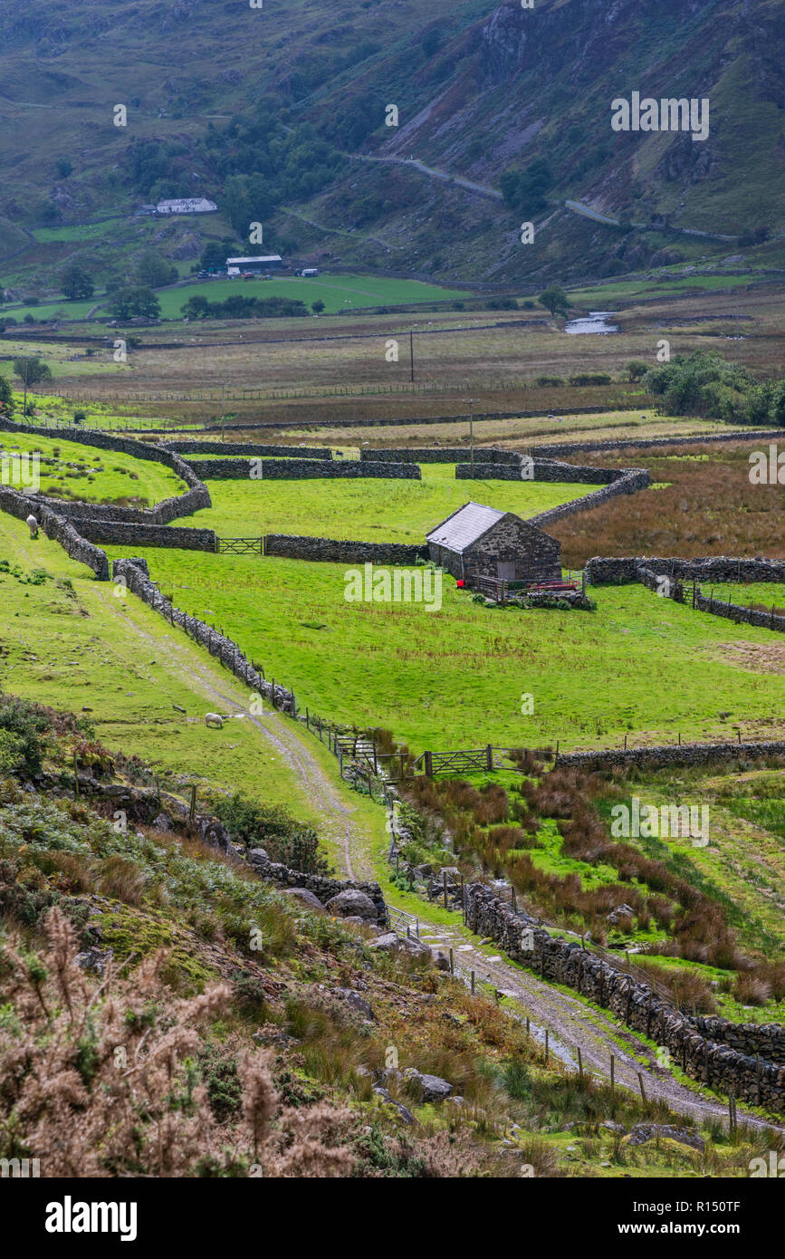 Welsh farms in Snowdonia national park, UK Stock Photo - Alamy