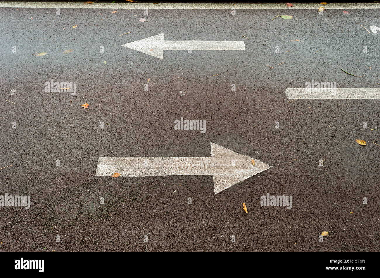 asphalt road with drawn arrows pointing to two directions. Making ...