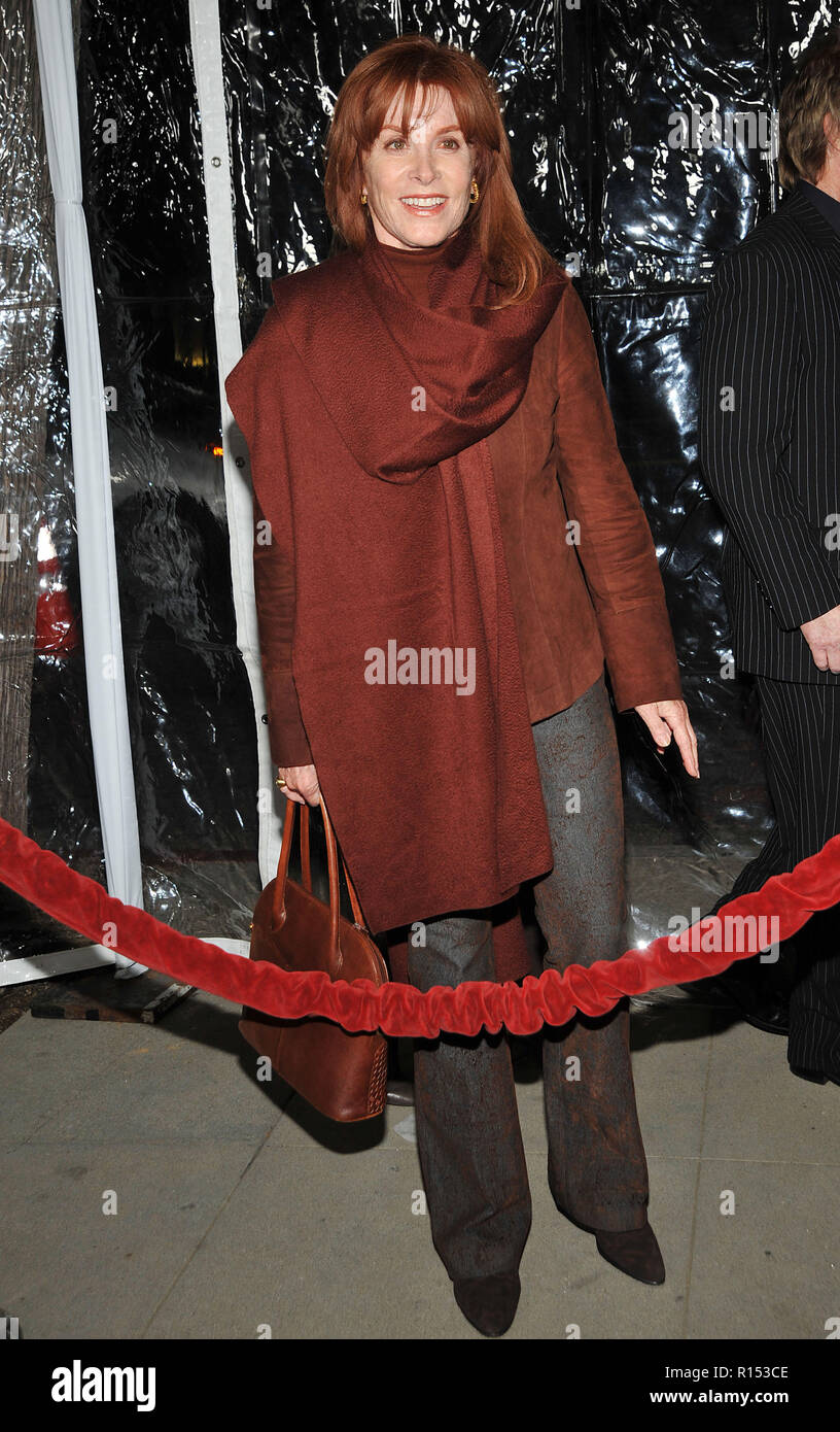 Stephanie Power 45 - Crazy Heart Premiere at the Academy Of Motion ...