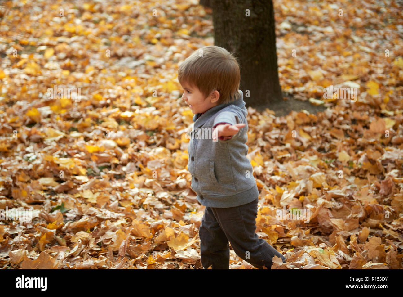 Child boy is running in autumn city park. Bright yellow trees Stock ...